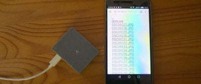 Micro-SD File Server mit D1 Mini