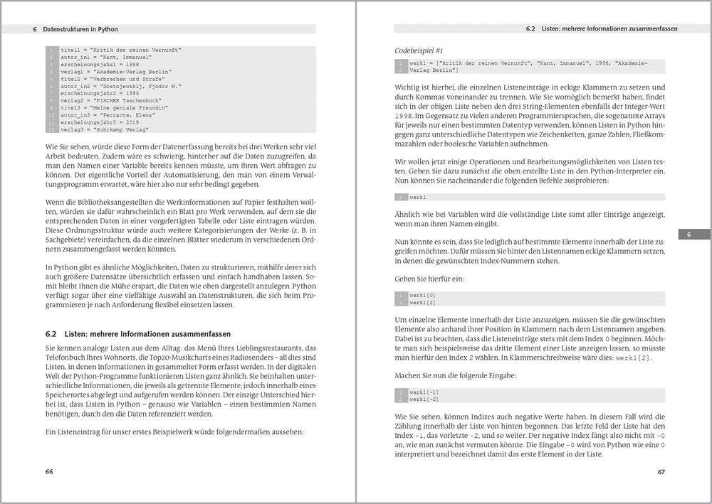 Python Kompendium: Professionell Python Programmieren Lernen