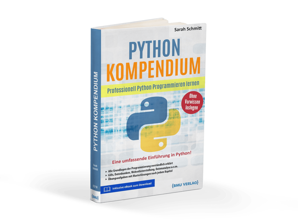 Python Compendium: Learn Programming Python Professional
