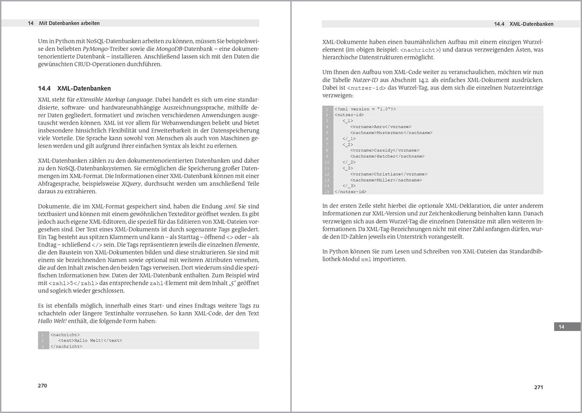 Python Kompendium: Professionell Python Programmieren Lernen