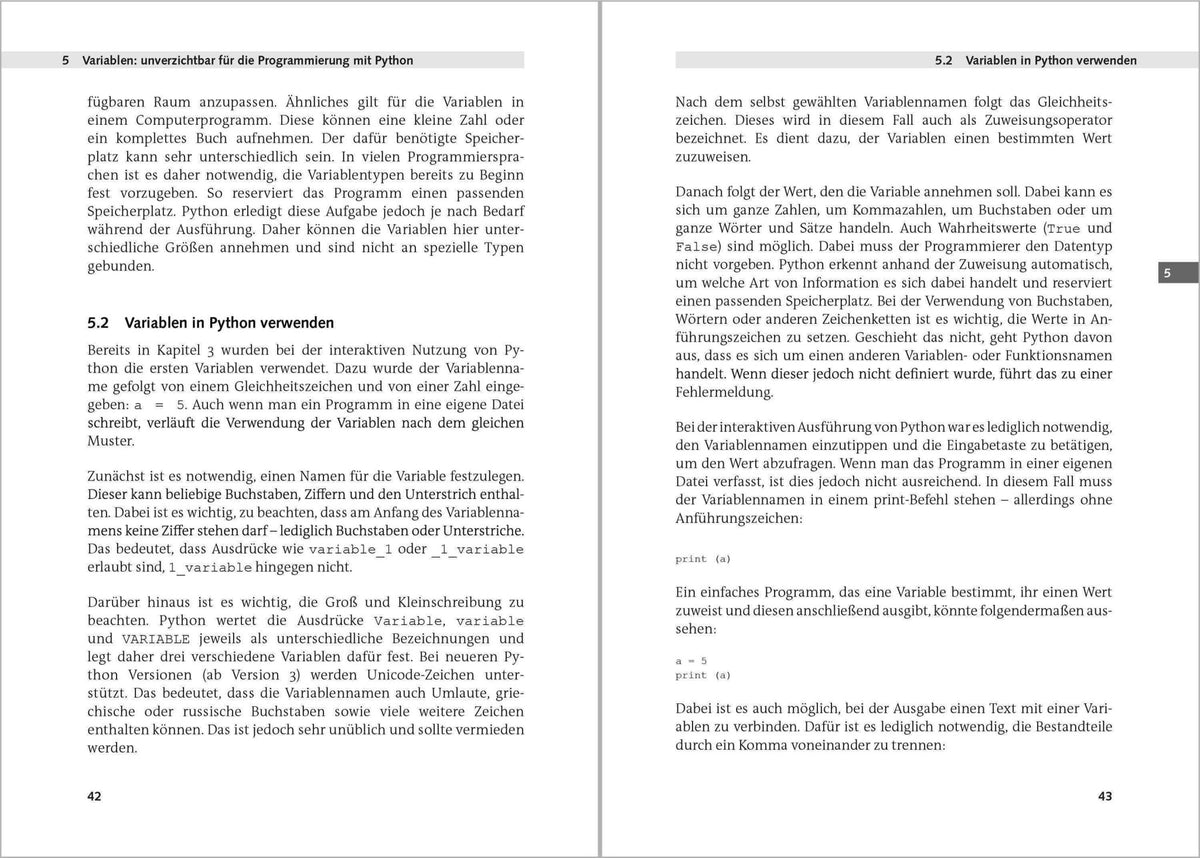 Python Programmieren für Einsteiger: Der leichte Weg zum Python-Expert